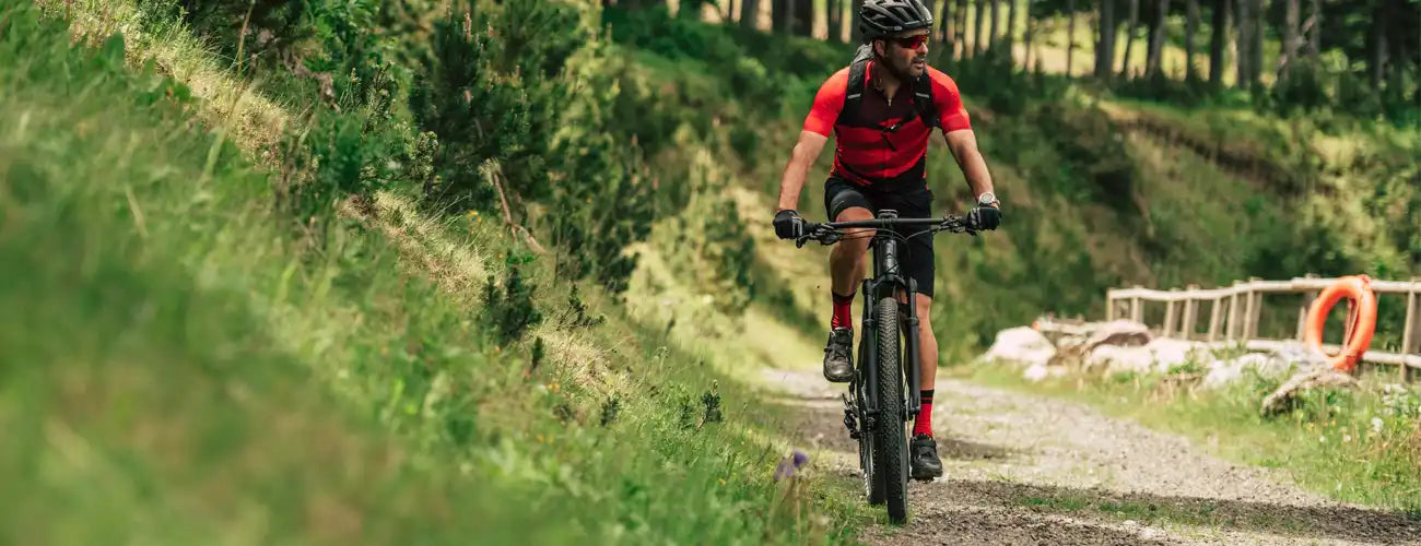 Merida Big.Seven | ABC Bikes