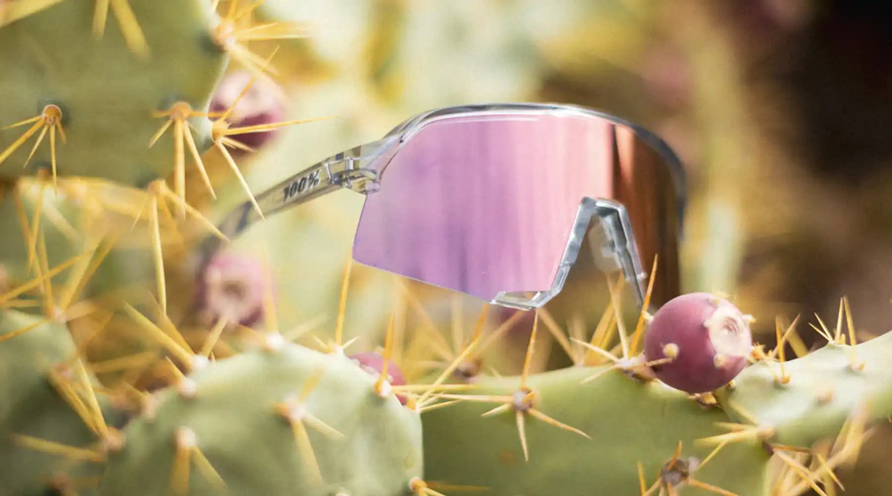 ABC Bikes | Bringing People & Bikes Together